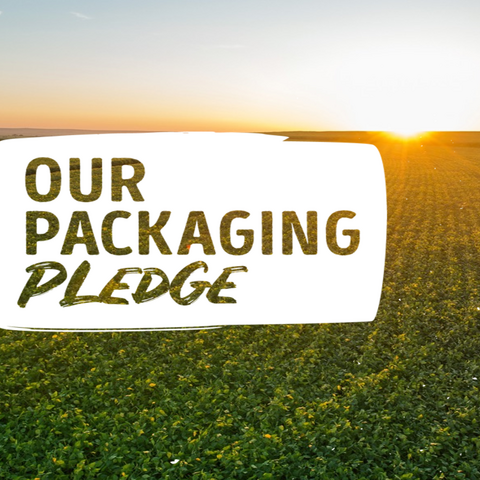 Contributing to a circular economy through better packaging ...